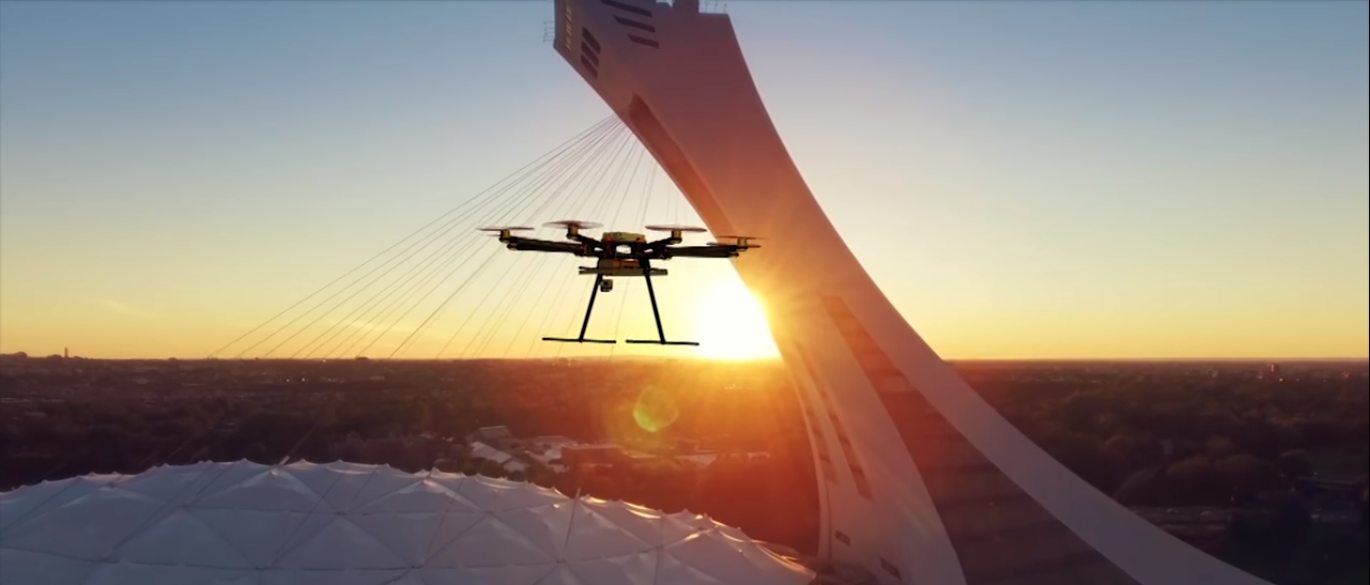 ASAB Activities – SACD